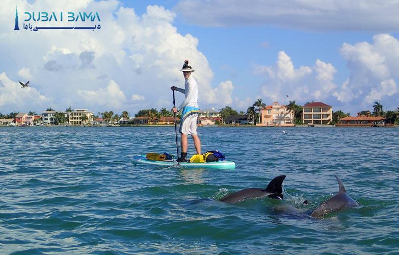 پدل سواری با دلفین های آتلانتیس دبی